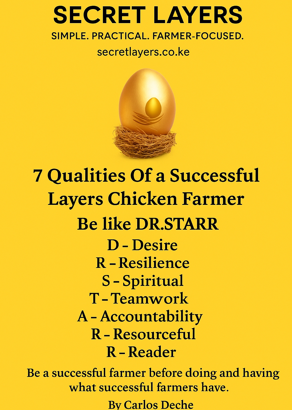 7 Qualities Of A Successful Layer Chicken Farmer - Secret Layers